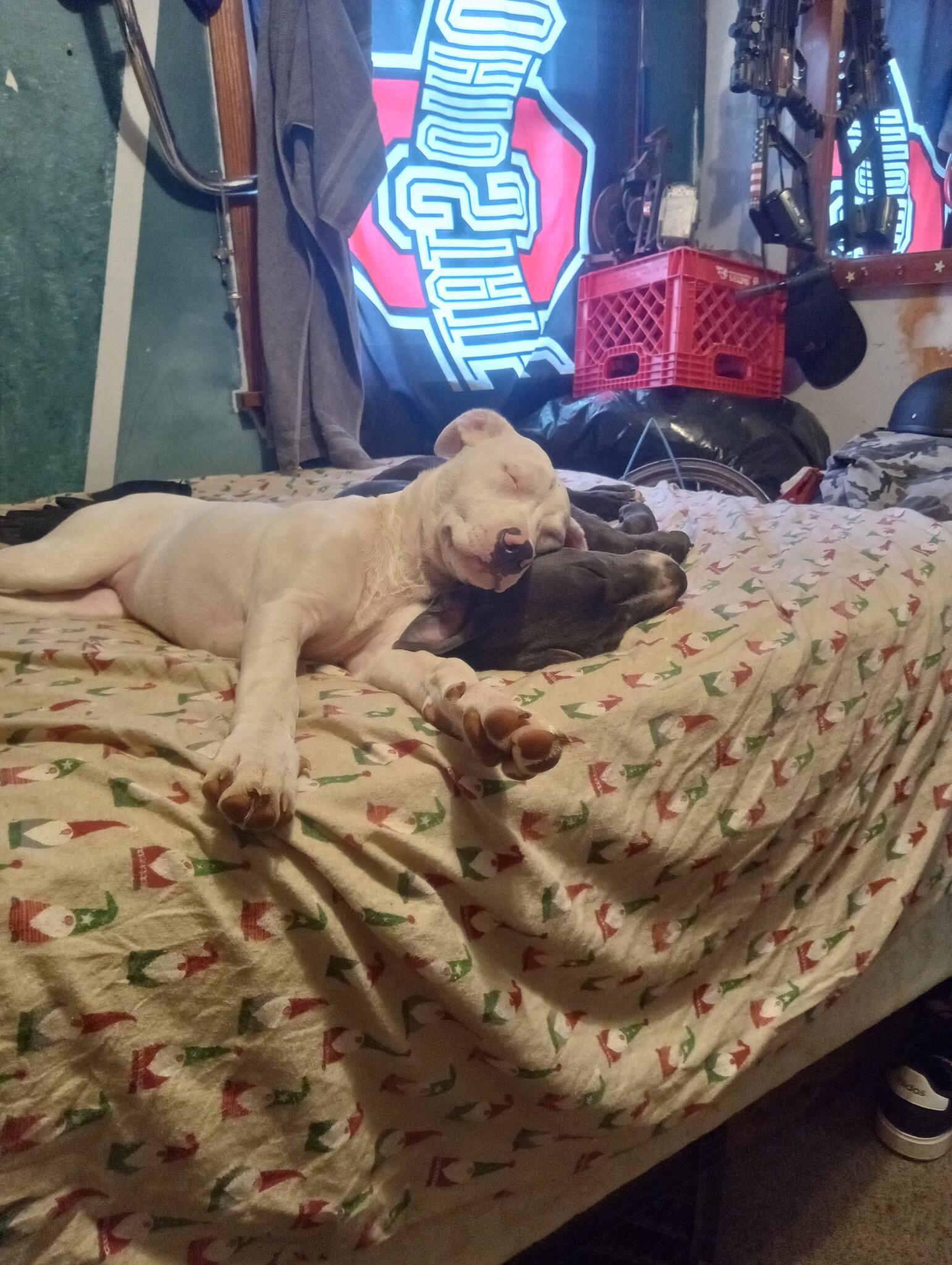 Handyman hero & Services - Akron, OH - Nextdoor