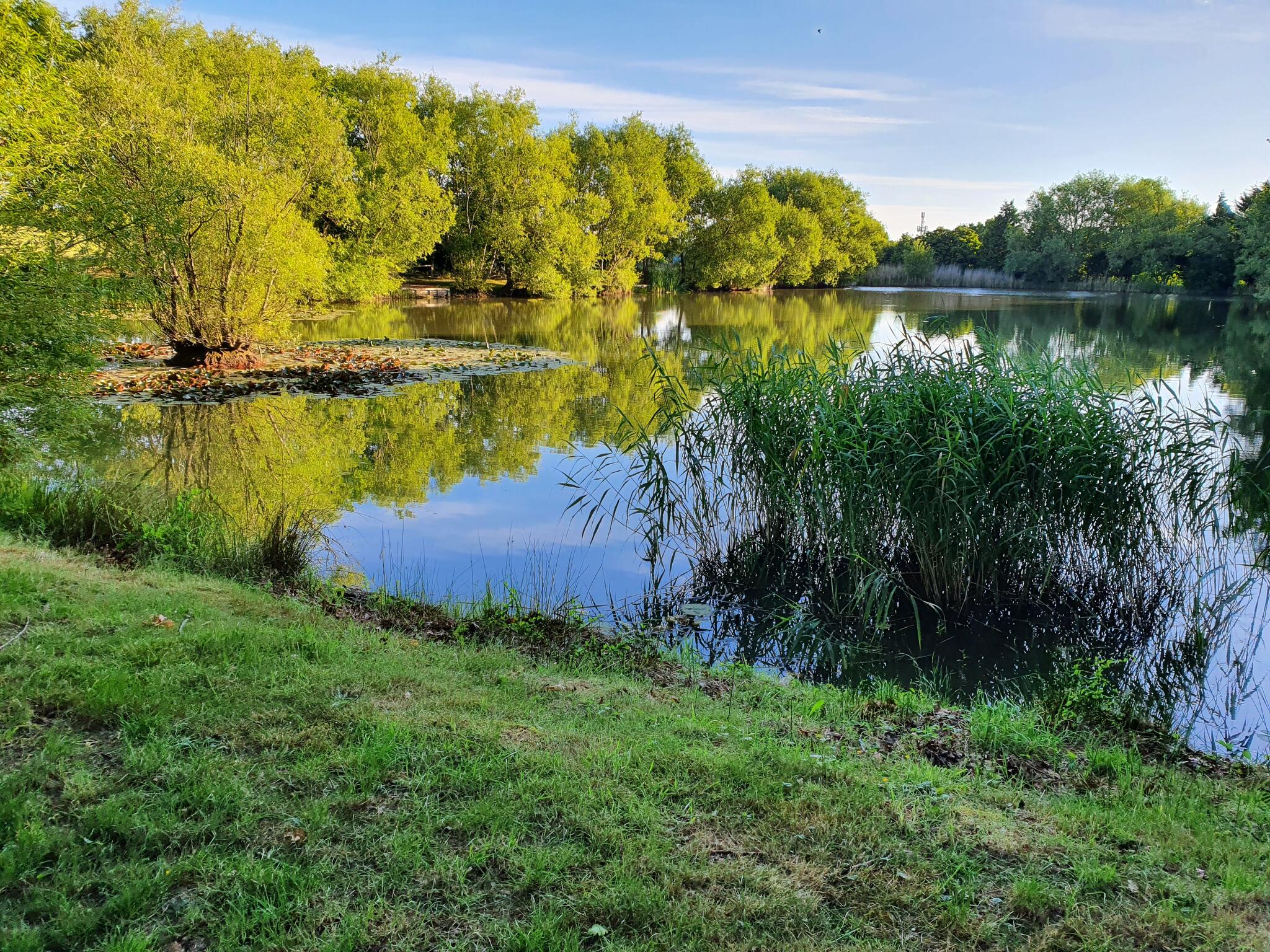 Cook farm fishery - Benfleet - Nextdoor