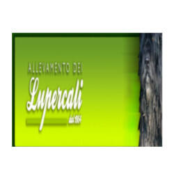 Allevamento dei Lupercali - Nextdoor