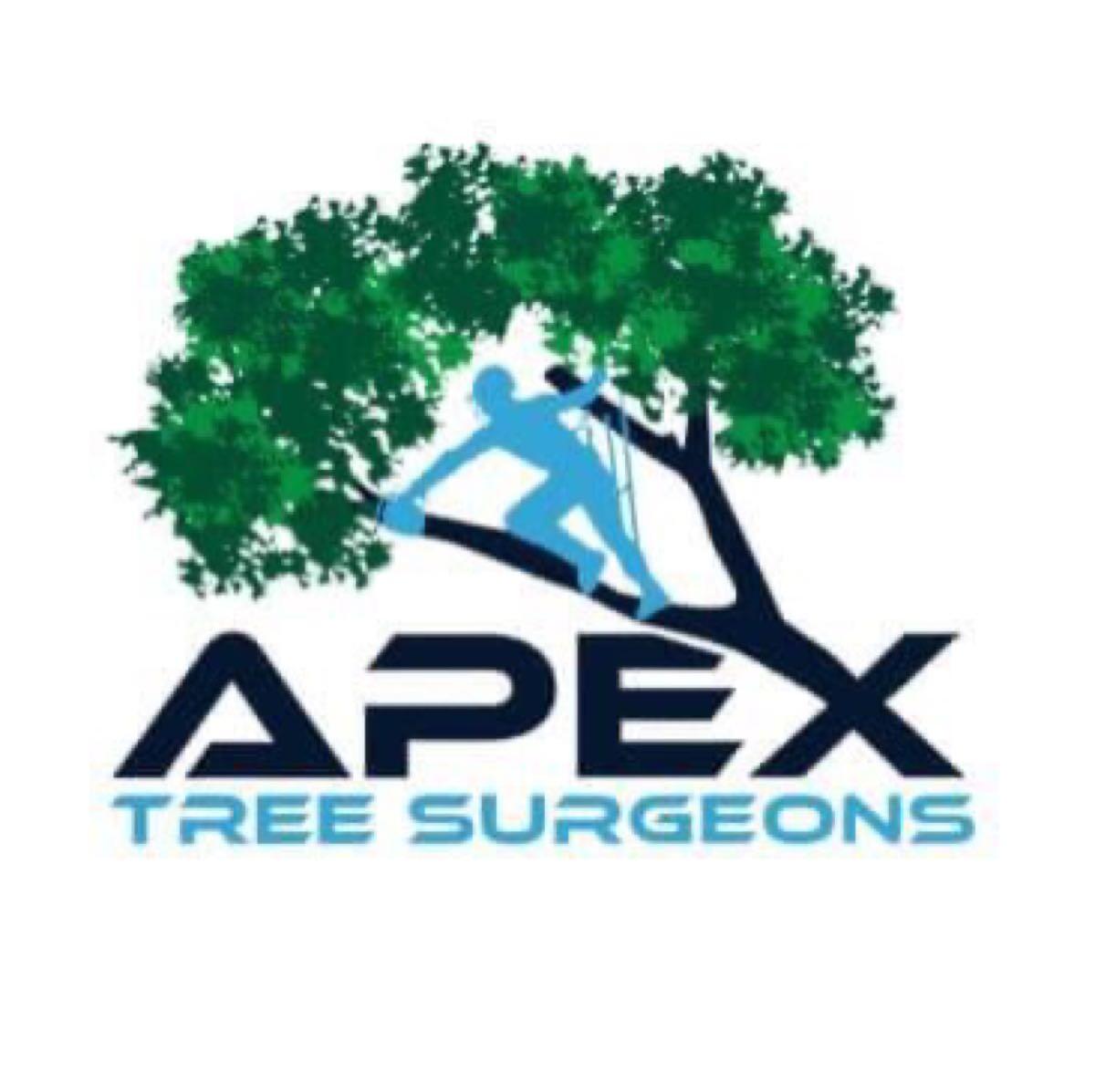 apex tree and landscape - Hartlepool, GB-ENG - Nextdoor apex tree and landscape - Hartlepool, GB-ENG - Nextdoor