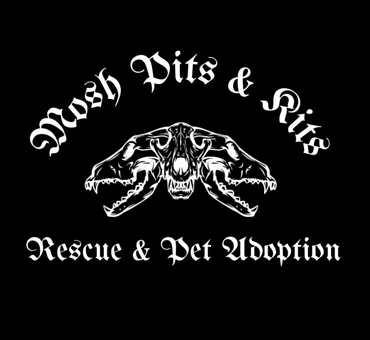 Mosh Pits & Kits - Nextdoor