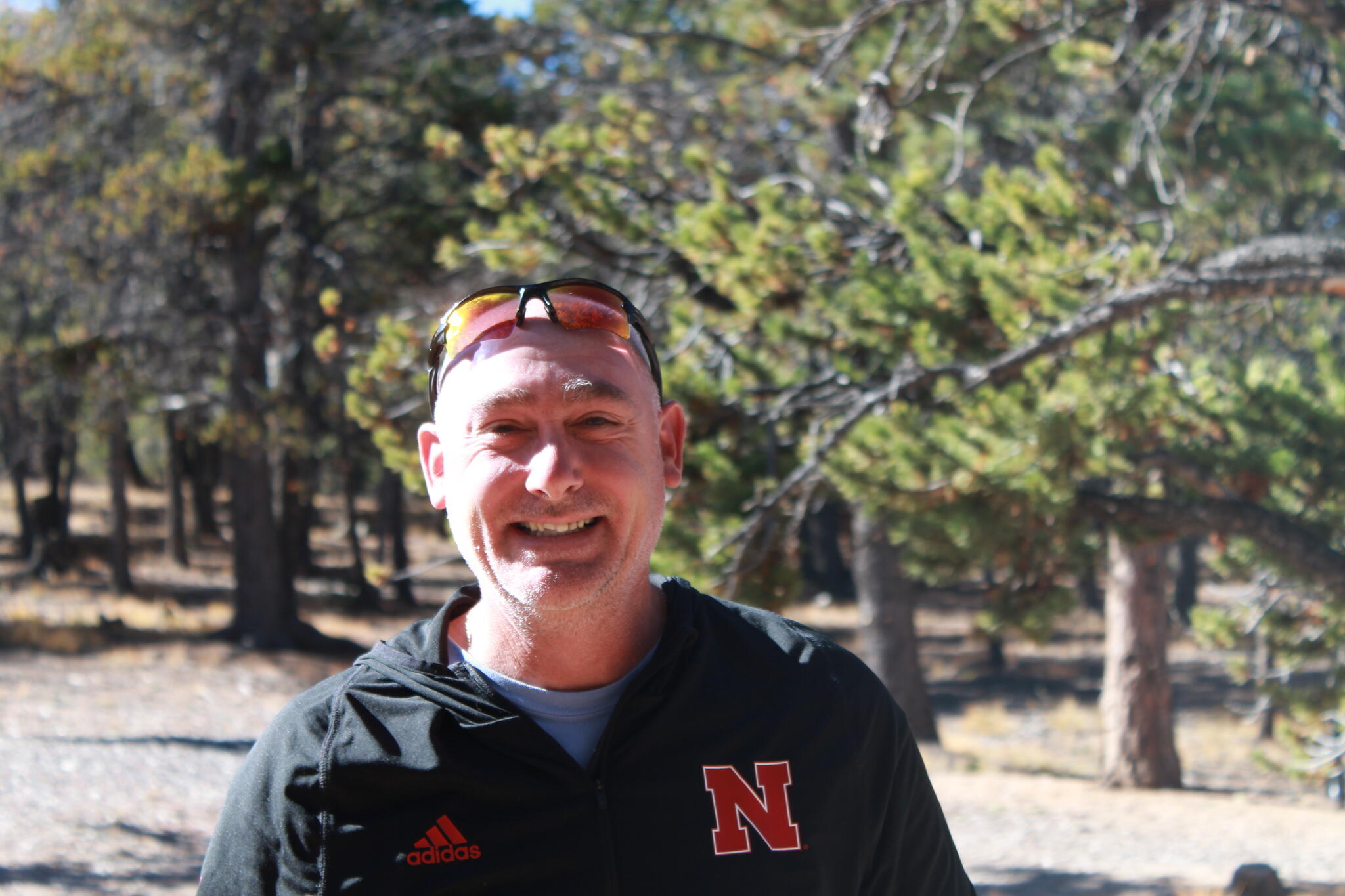 Olive Tree Custom Carpentry - Nextdoor