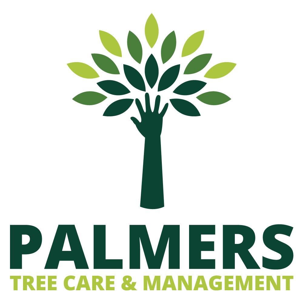 Palmers Tree Care & Management - Kenley, GB-ENG - Nextdoor