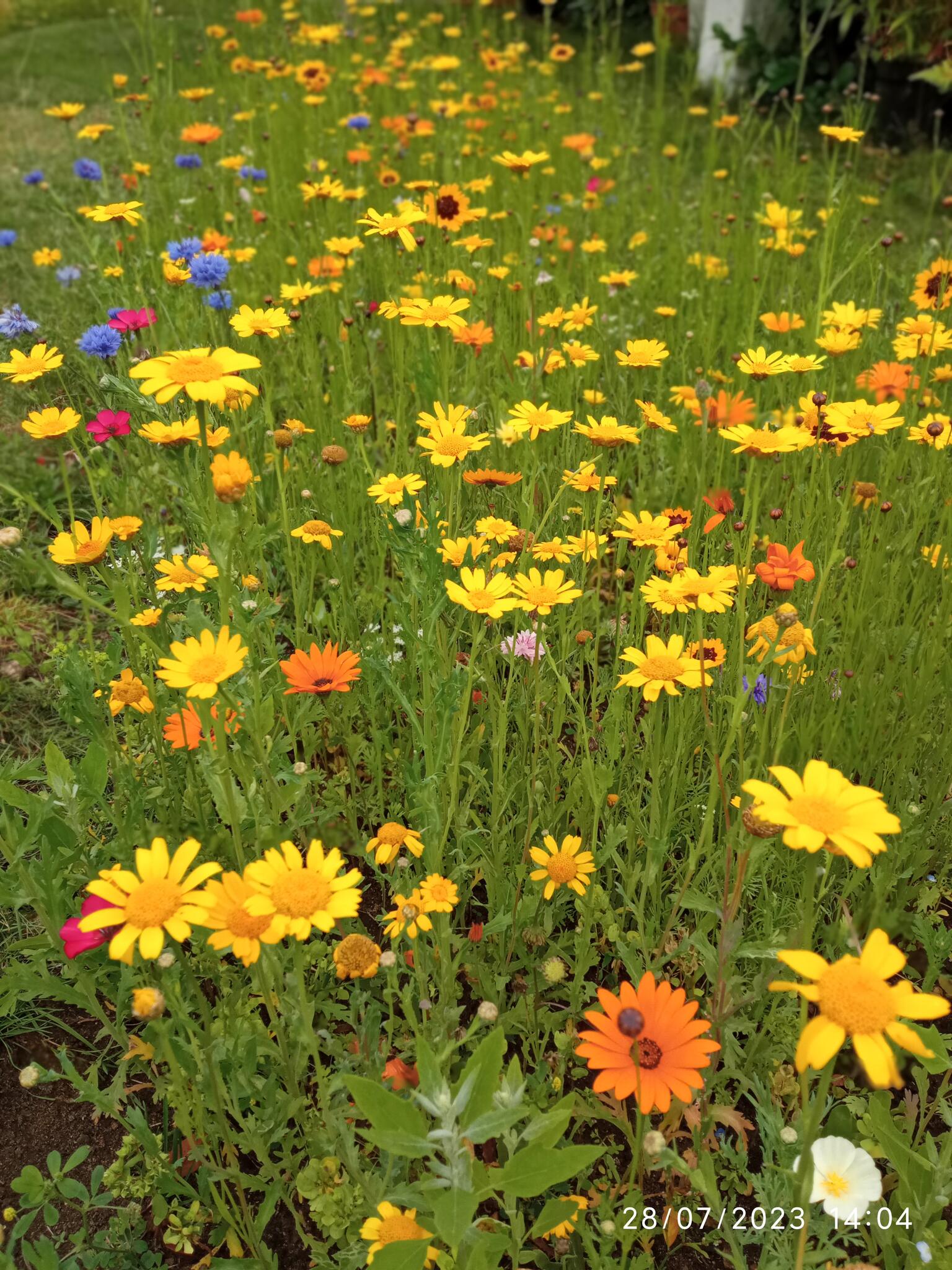 bourgois gardens - Nextdoor