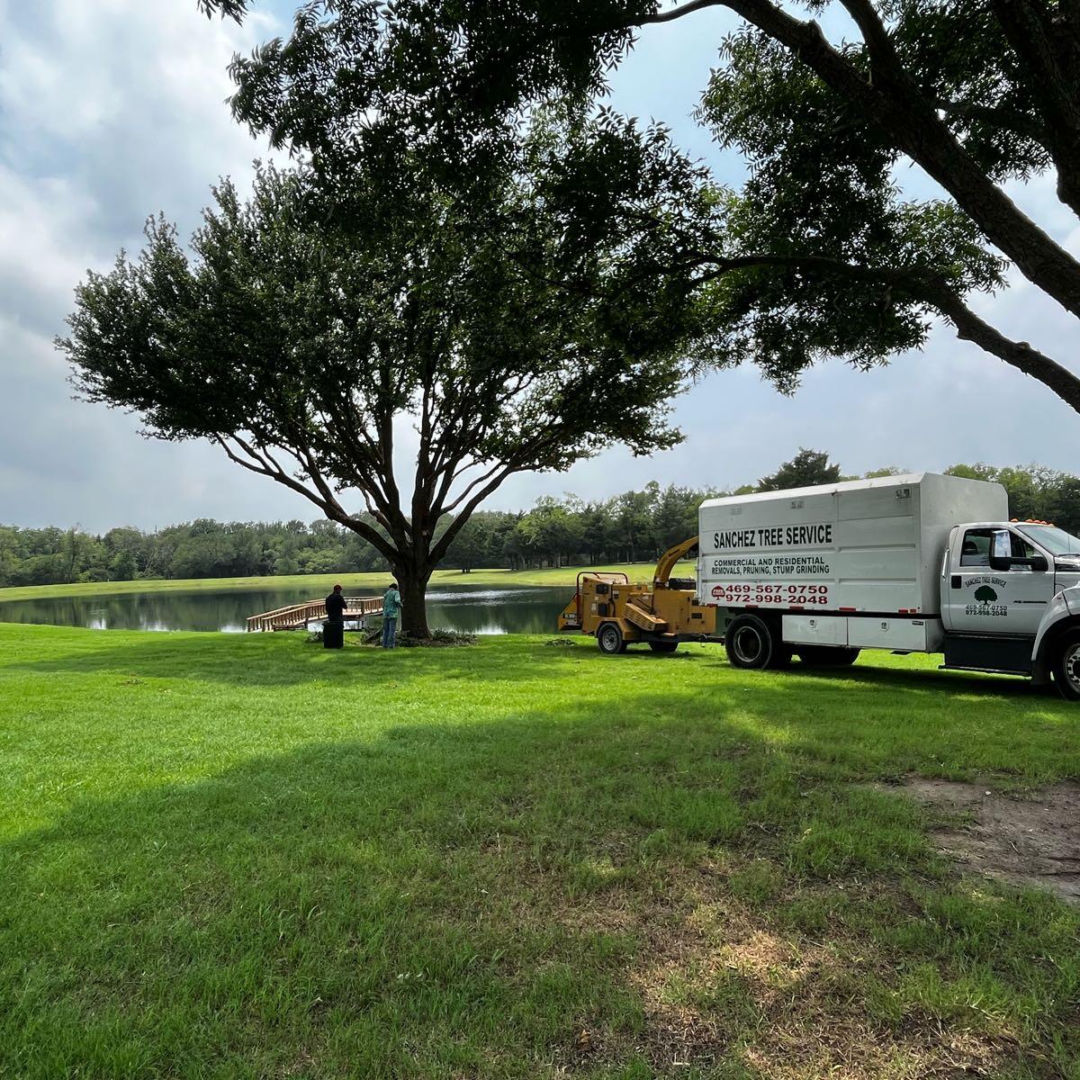 Everest Tree Experts - Nextdoor