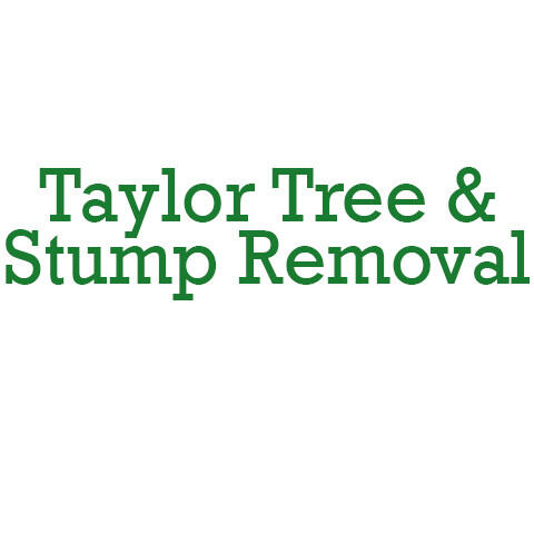 Taylor Tree & Stump Removal - Mansfield, OH - Nextdoor