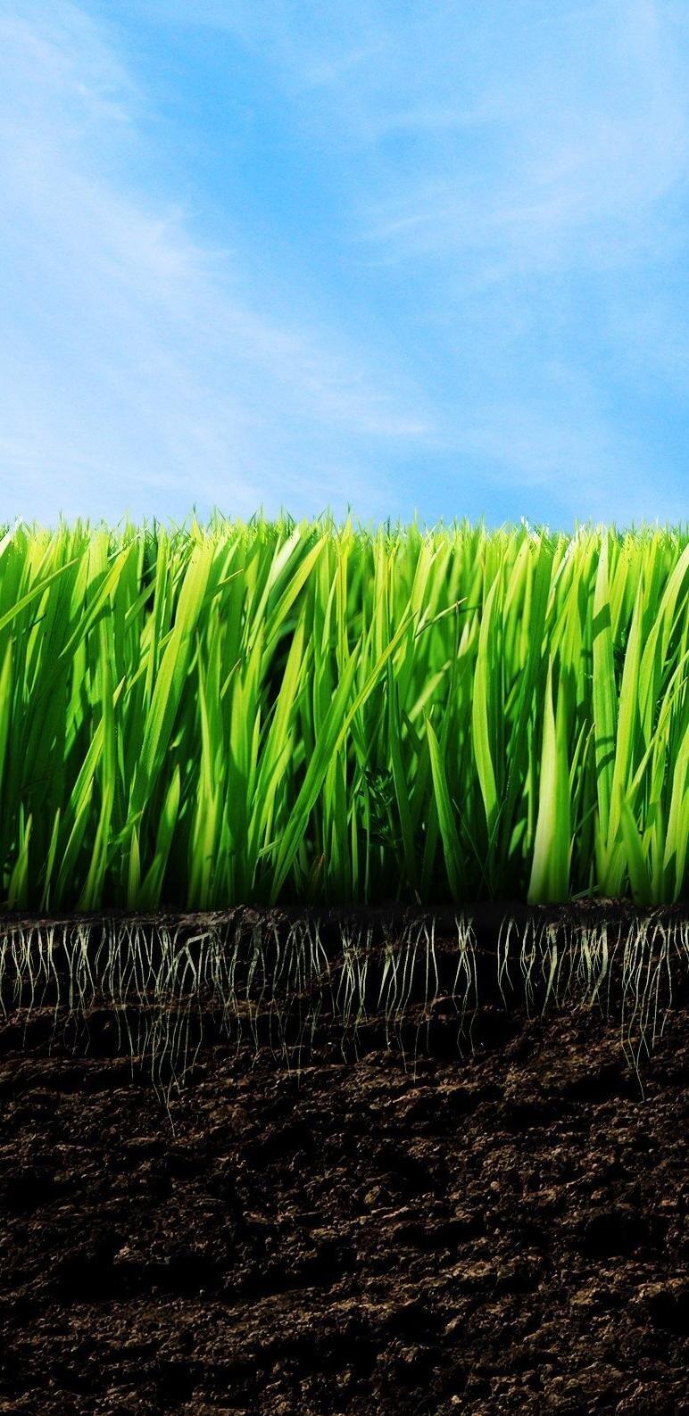 JC LANDSCAPE - Rancho Cordova, CA - Nextdoor