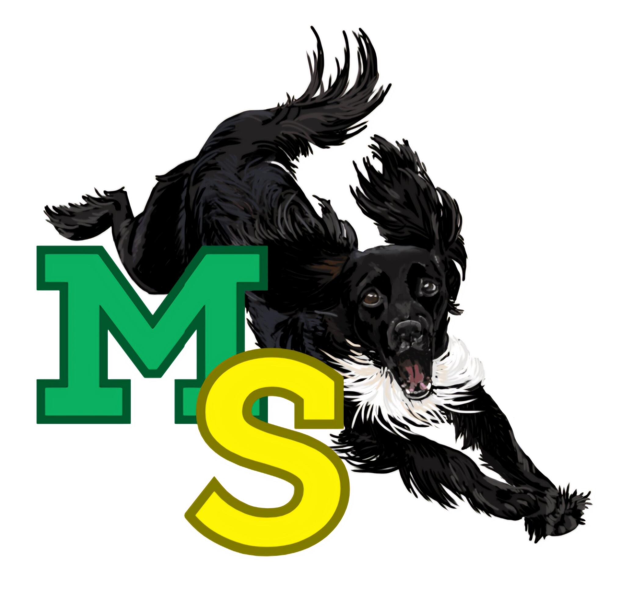Mighty Strider Dog Agility - Nextdoor