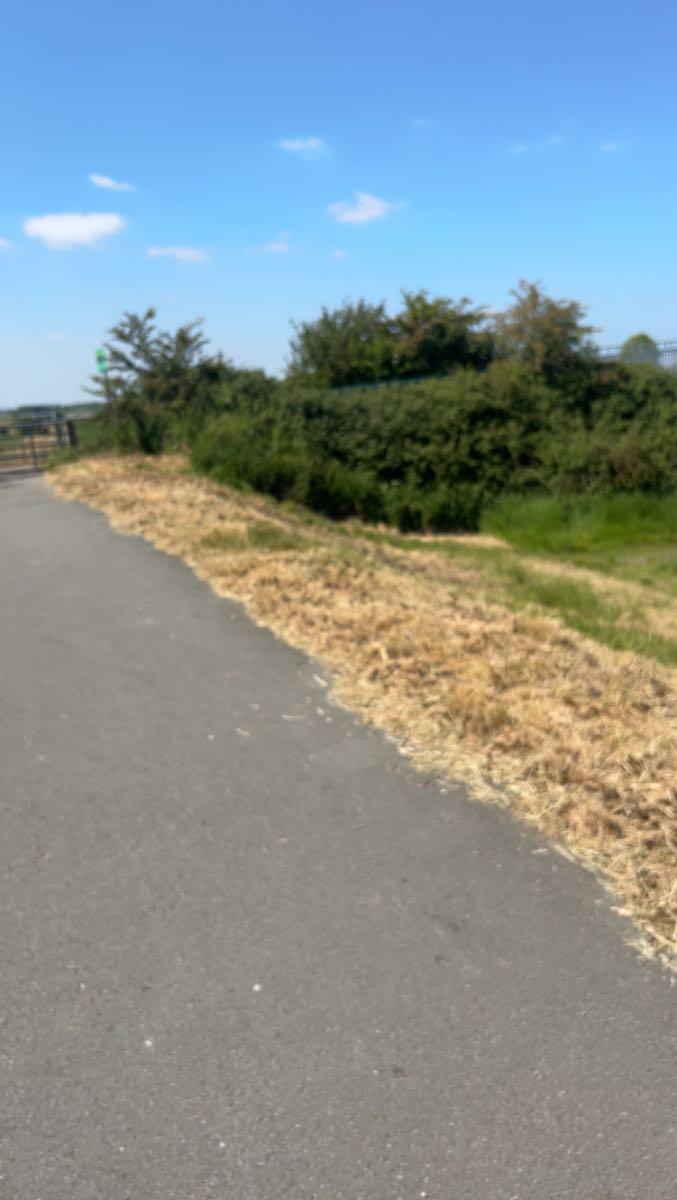 babysitter Abi - Manchester, GB-ENG - Nextdoor