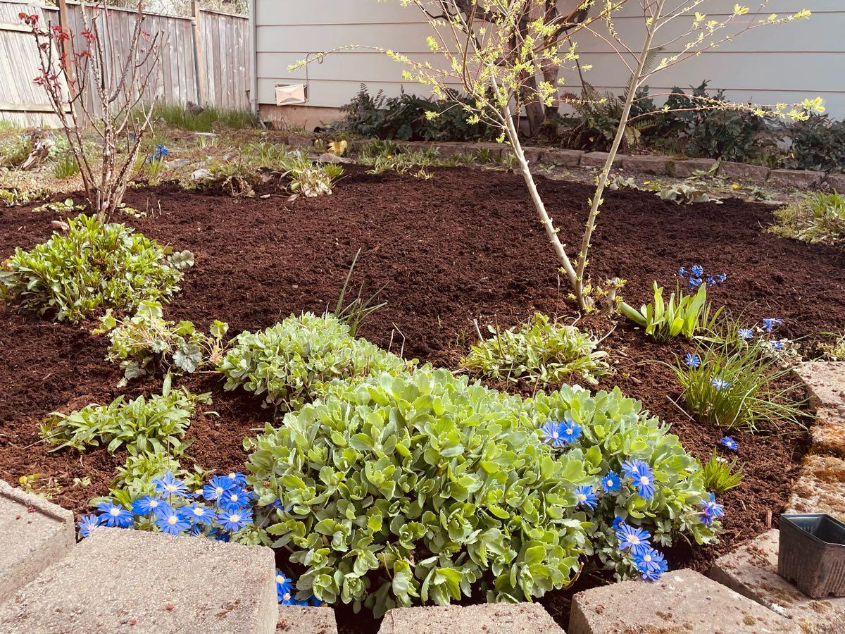 🪚Jake N’ Rake Yard Workz & Household Tasks🪚 - Springfield, OR - Nextdoor