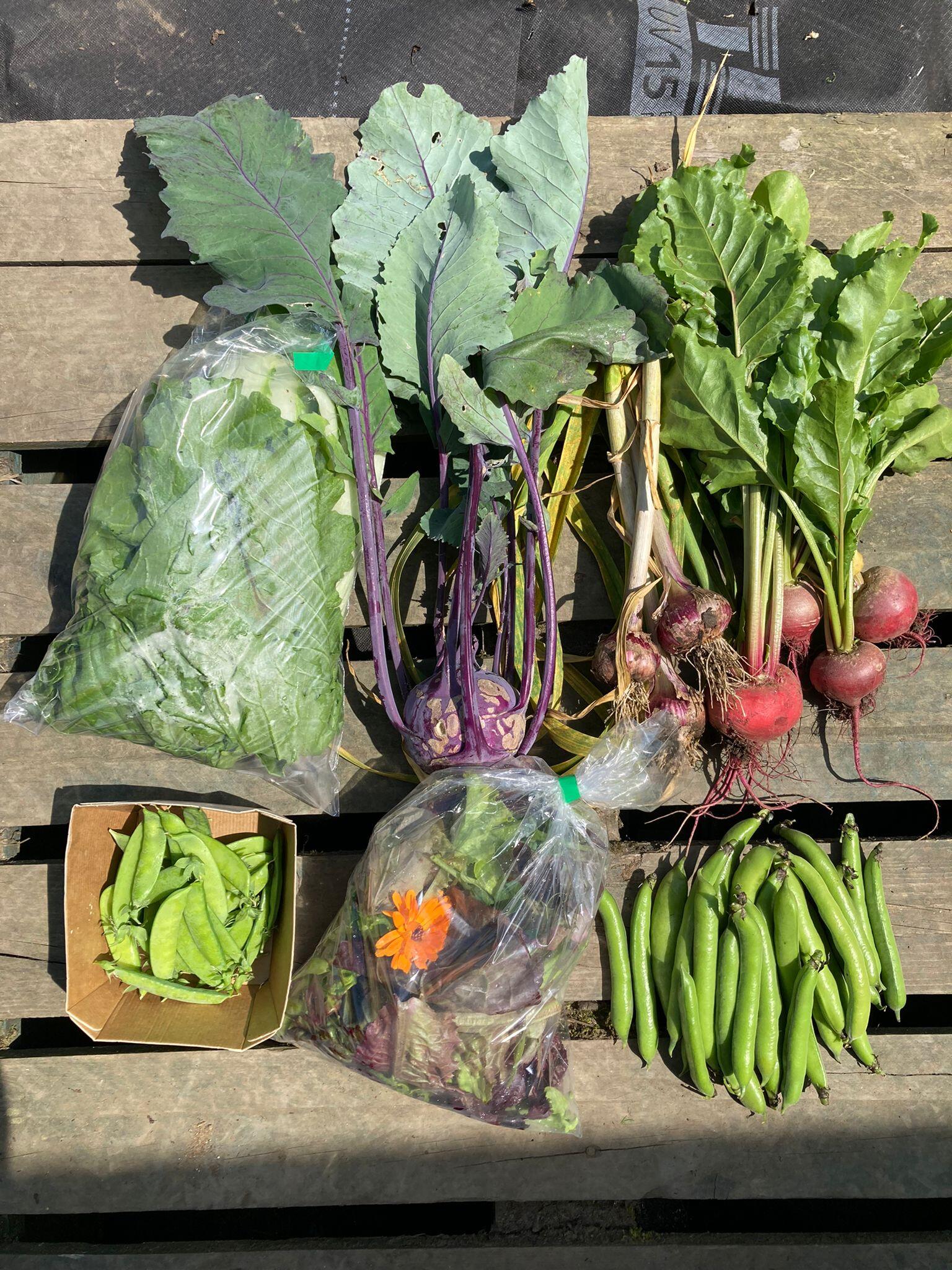 RealVeg Organic Veg Box - Harleston, GB-ENG - Nextdoor