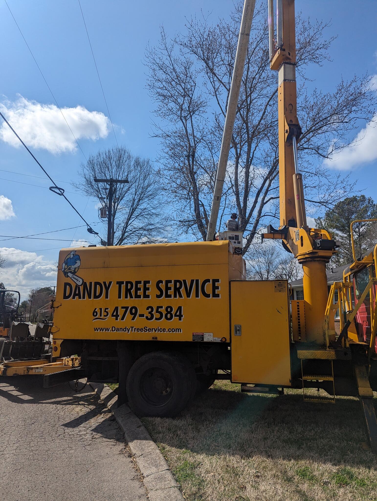 Dandy Tree Service - Goodlettsville, TN - Nextdoor