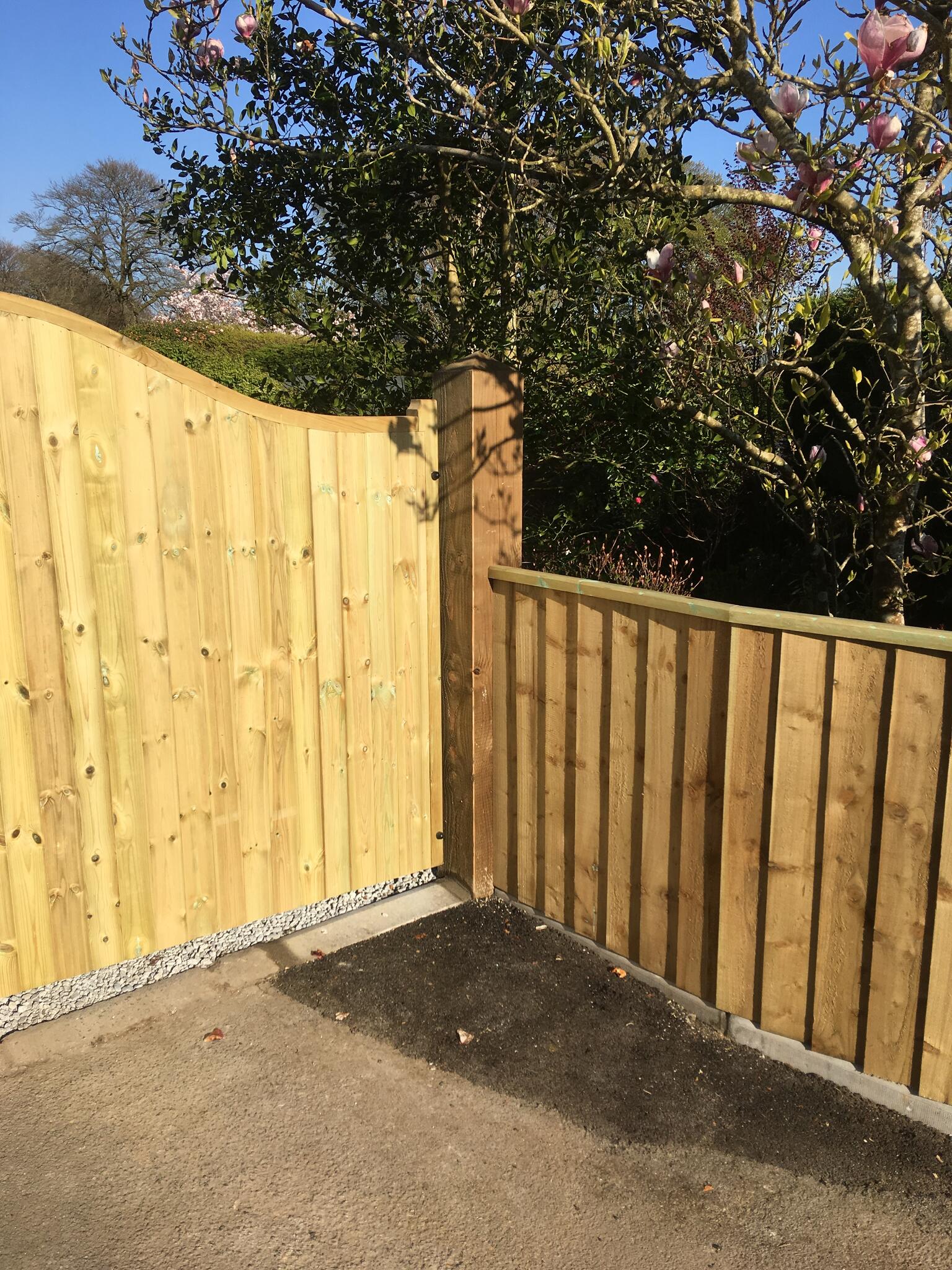 Timber Tom - Plymouth - Nextdoor