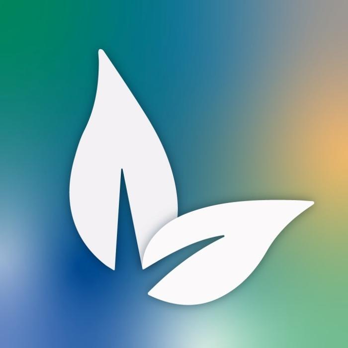 VineBrook Homes Memphis - Memphis, TN - Nextdoor