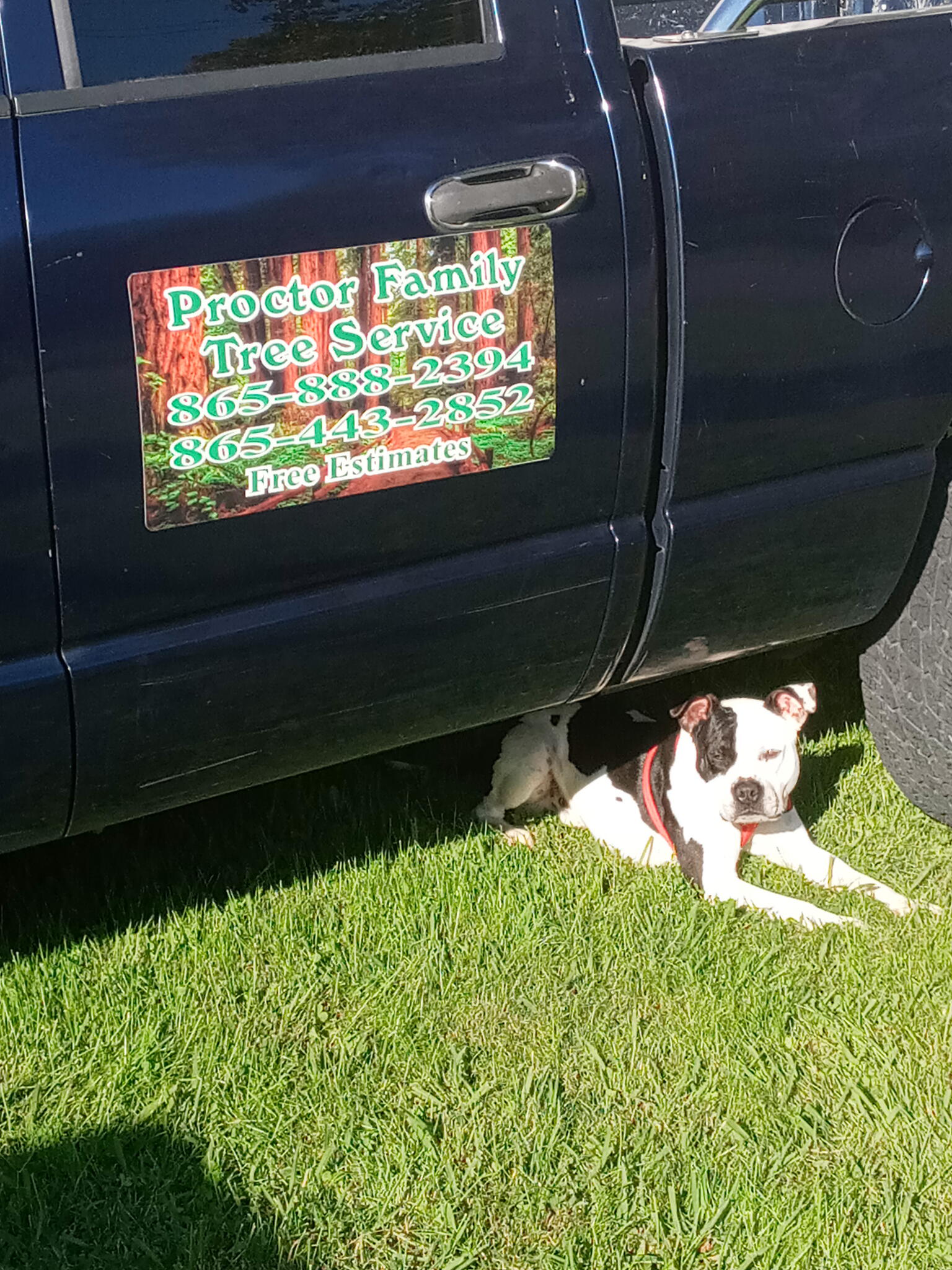 Proctor Family Tree Service - Nextdoor