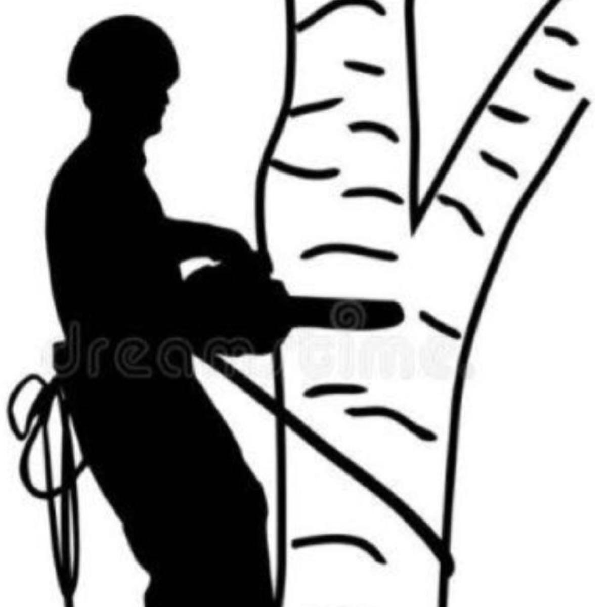 HG Tree Solutions 07833 346924 - Brierley Hill - Nextdoor