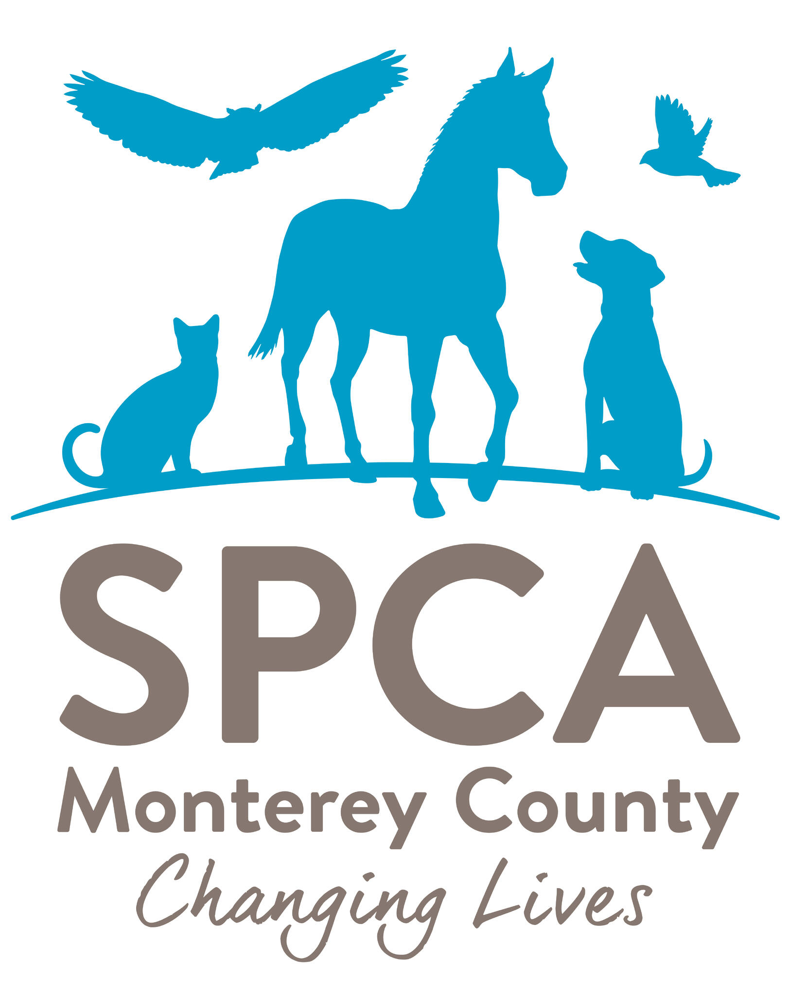 SPCA Monterey County - Salinas, CA - Nextdoor