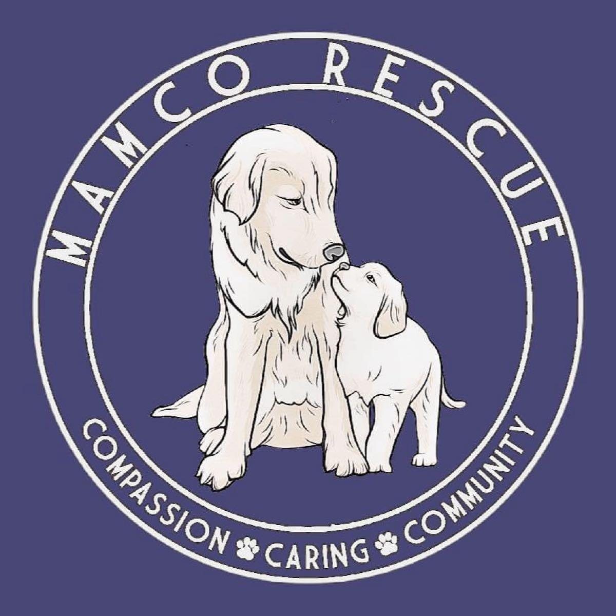 MAMCO moms and mutts Colorado rescue for pregnant and nursing dogs ...