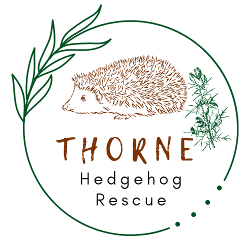 Thorne Hedgehog Rescue - Nextdoor