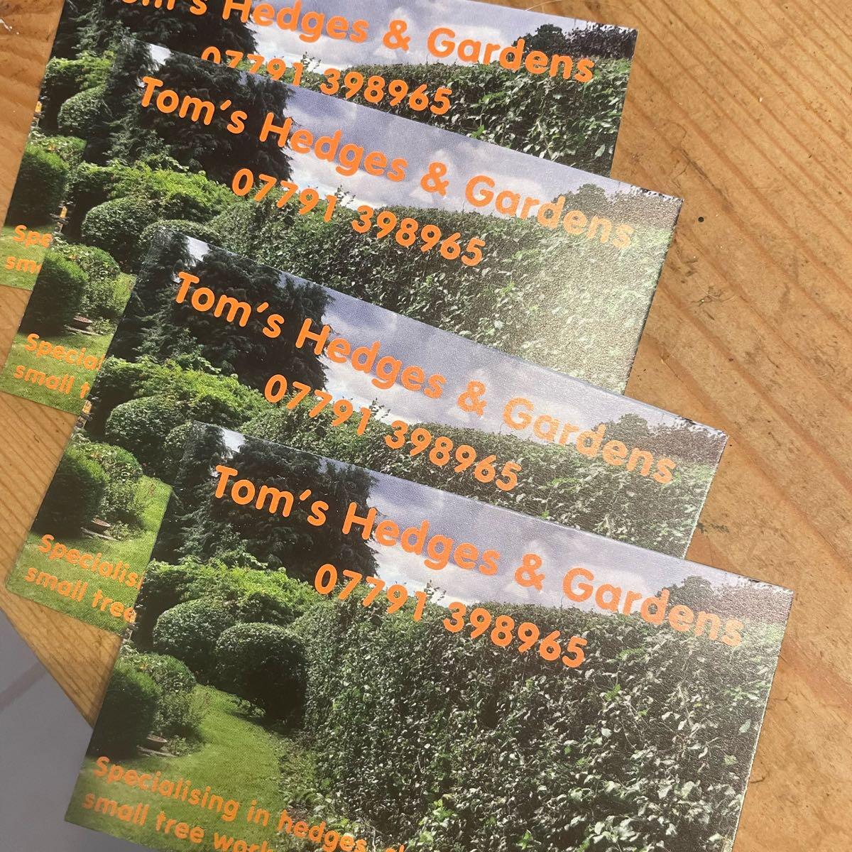 Tom’s Hedges & Gardens 🌳 - Bury St Edmunds, GB-ENG - Nextdoor