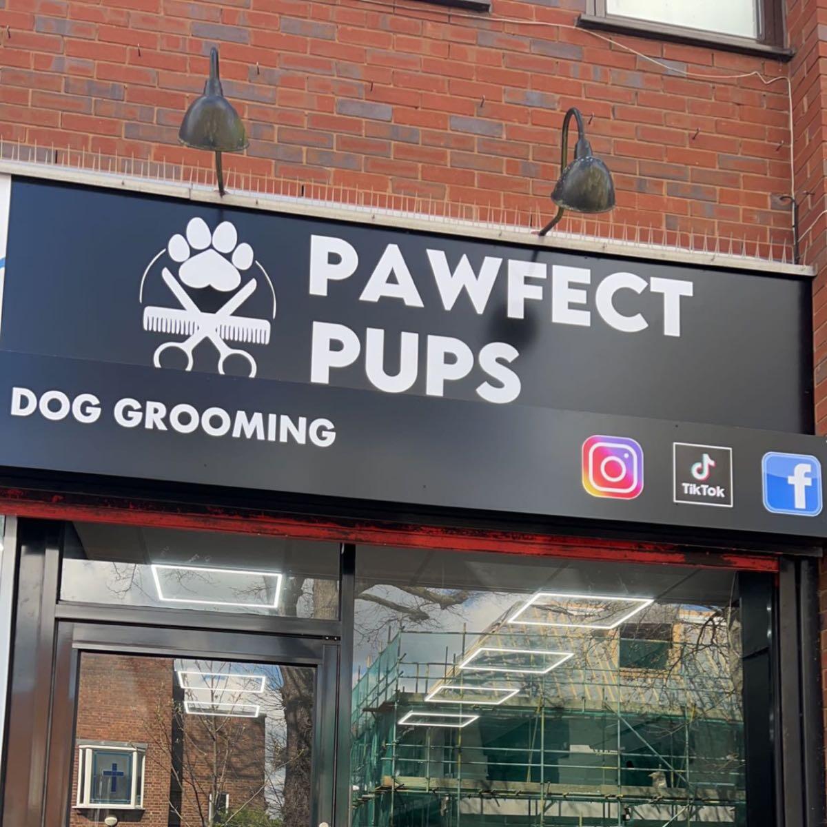 Pawfect Pups 🐶🐾 - Twickenham - Nextdoor