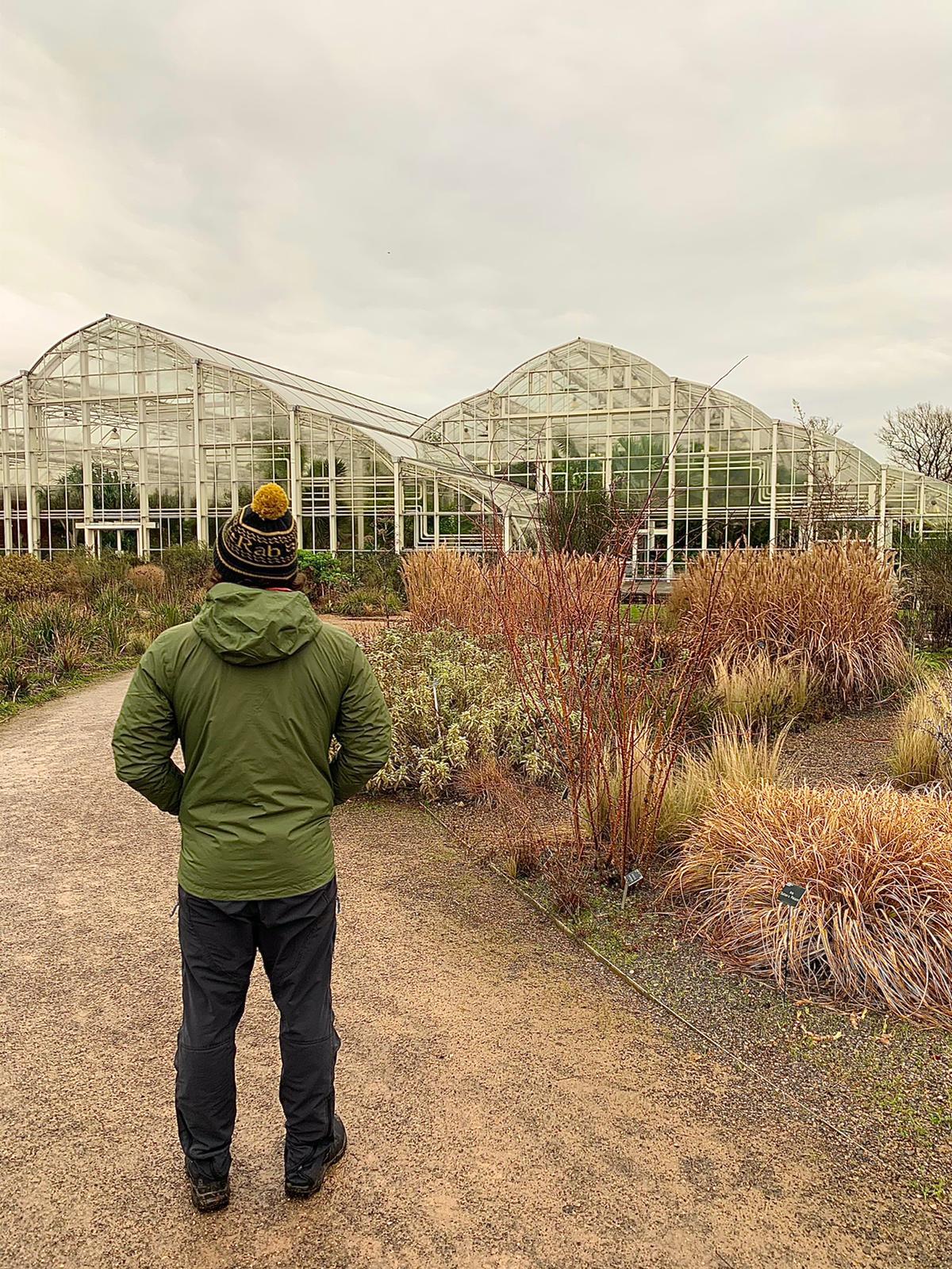 Adam Phoenix - Nextdoor