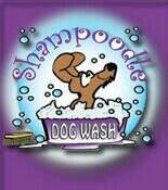 Shampoodle LLC - Delmar, NY - Nextdoor
