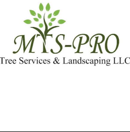 MTS Tree Service & Landscaping LLC - Leesburg, VA - Nextdoor