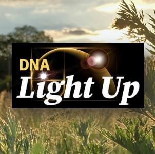 DNA Light Up - London - Nextdoor