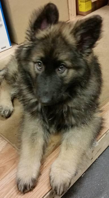 Streamline Printing & Embroidering - Nextdoor