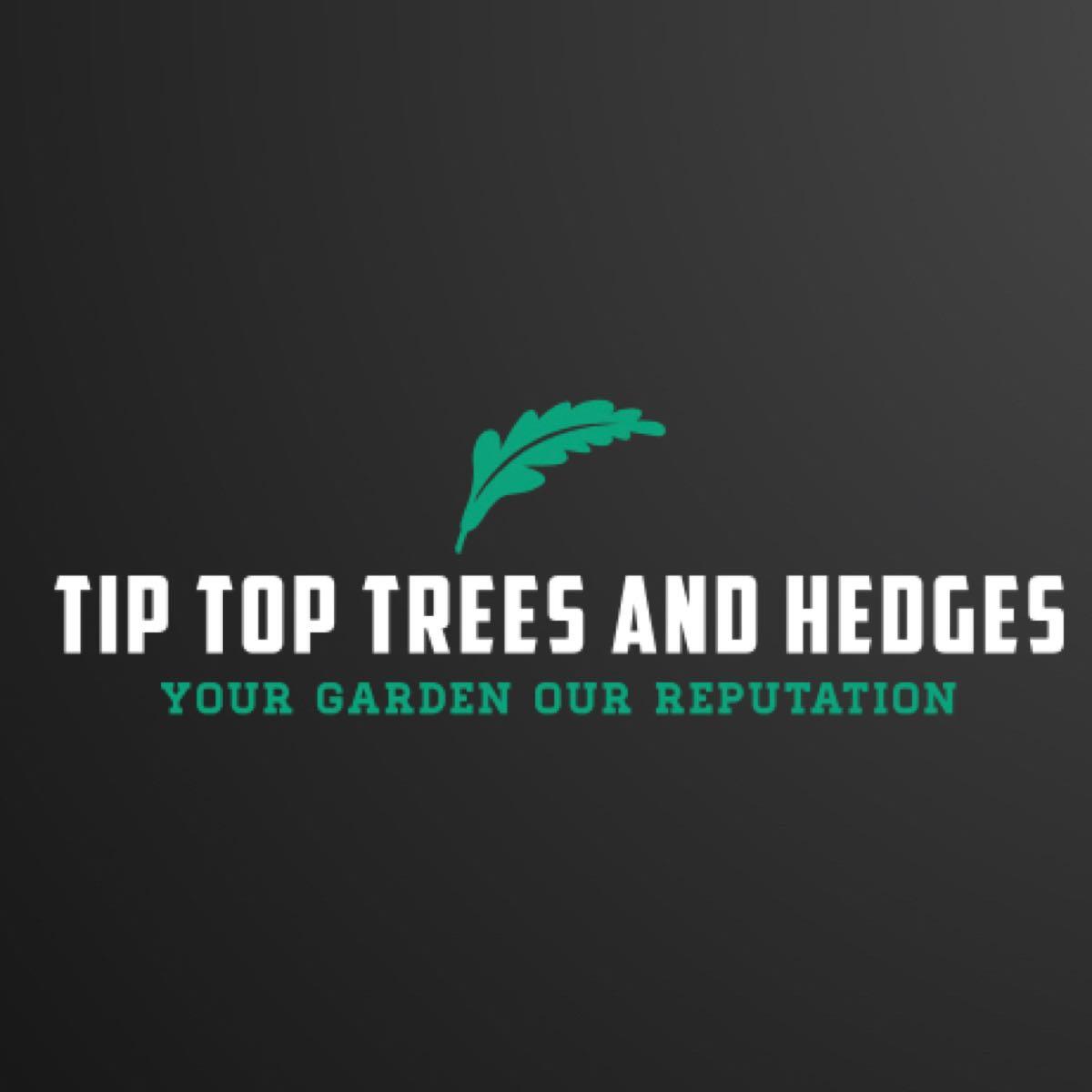 Tip top tree’s and hedge’s - Nextdoor