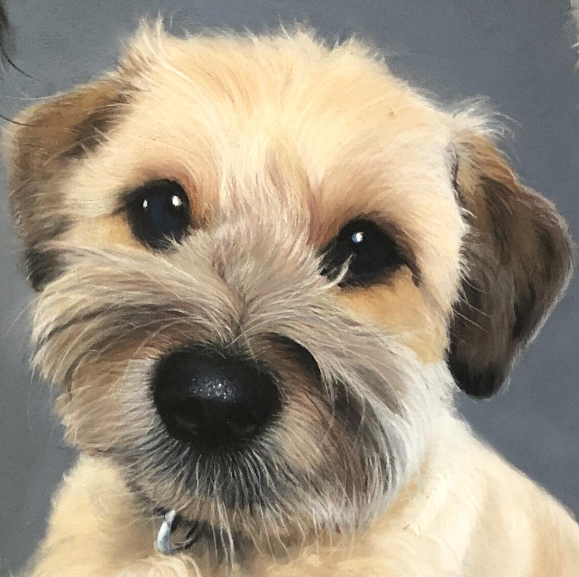 Mandy jackson portraits - Lostwithiel - Nextdoor