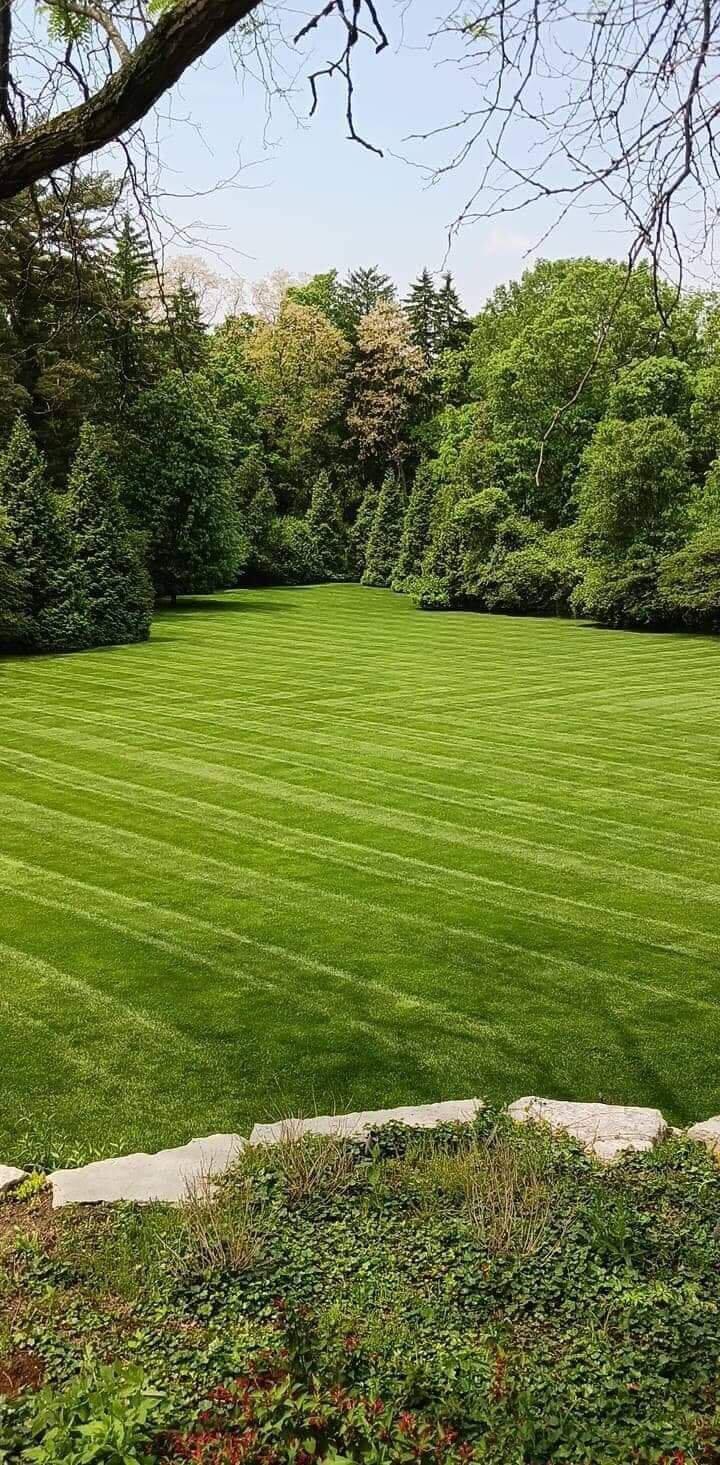 Clean Cutz Landscape And Hardscape - Nextdoor