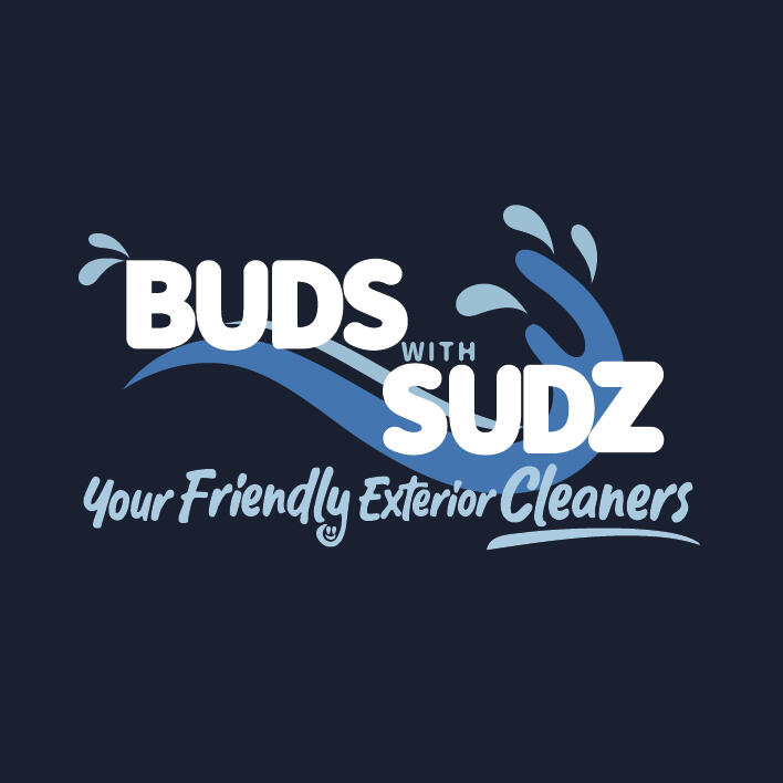 BUDS WITH SUDZ (Window Cleaning) - Nextdoor
