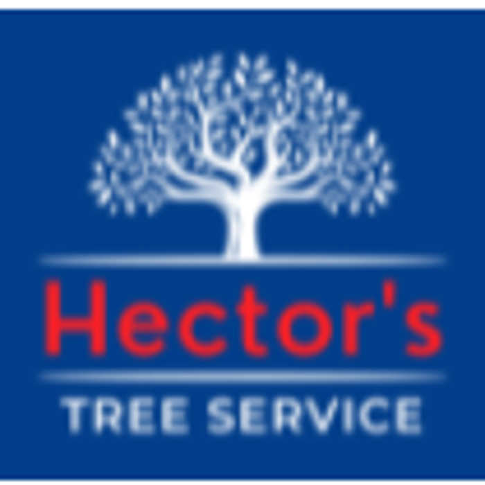 Hector's Tree Service - Nextdoor