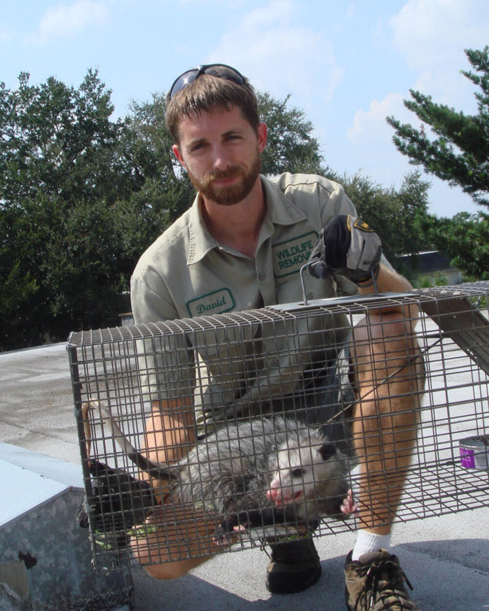 Loudoun County Wildlife Removal - Nextdoor