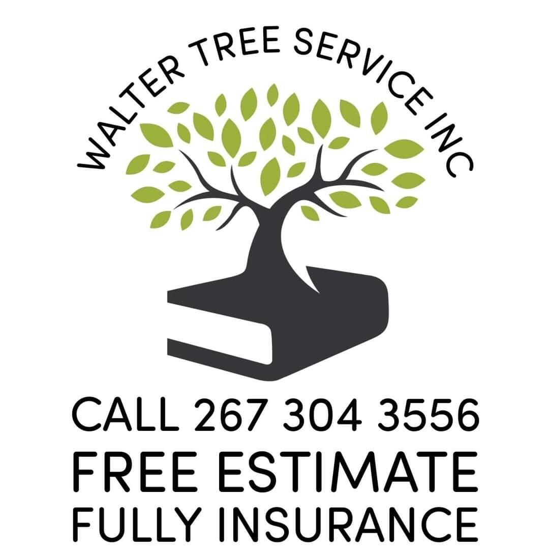 walter tree service - Nextdoor