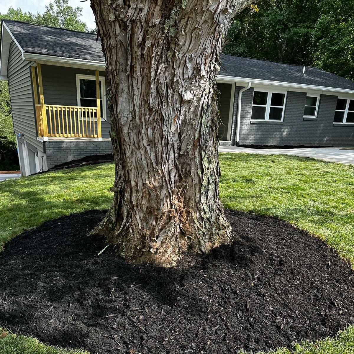 Burns Landscaping - Nextdoor