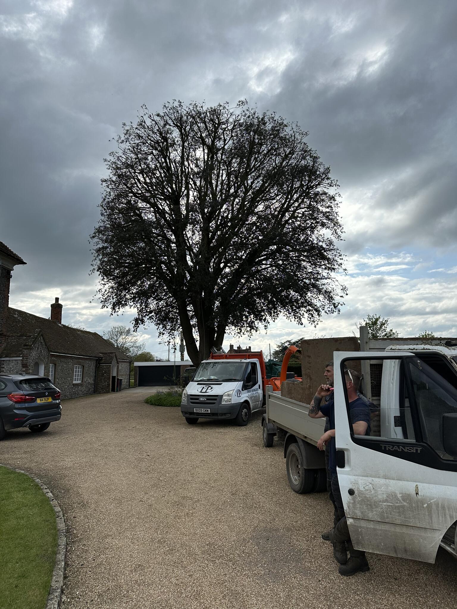 T&P Tree surgery and landscaping - Pulborough, GB-ENG - Nextdoor