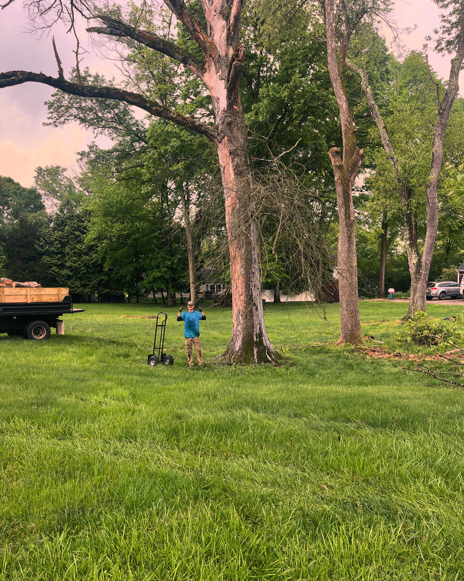 Tree ReLeaf LLC - Manalapan, NJ - Nextdoor