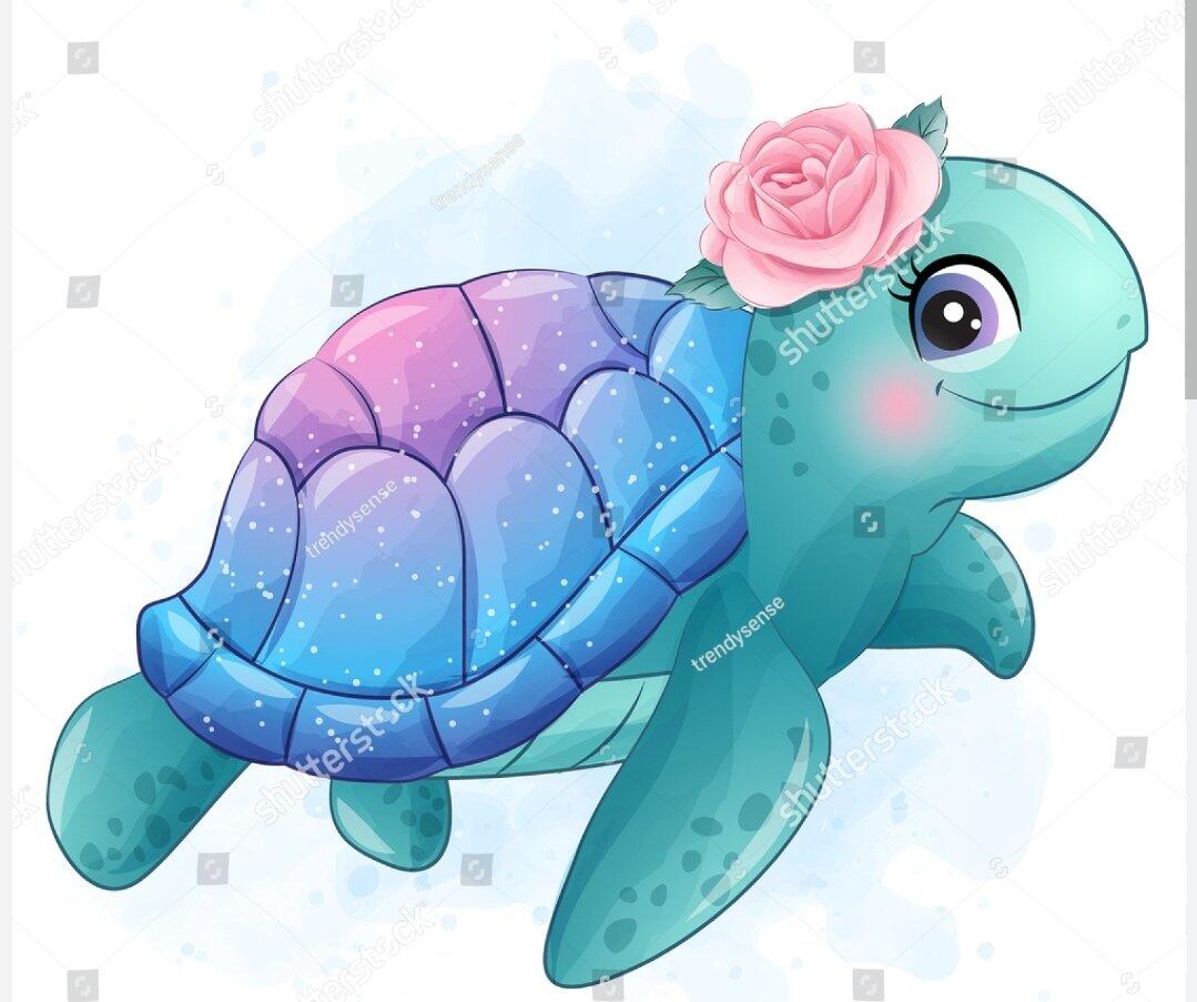 The Sassy Turtle - Nextdoor