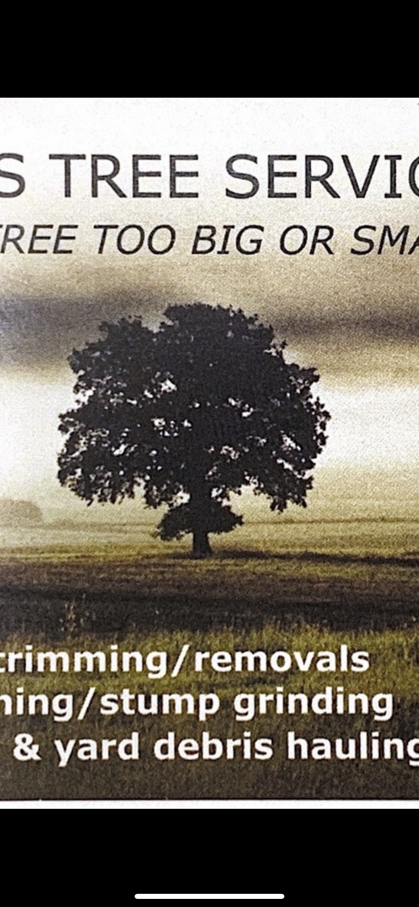 PTs Tree Service - Nextdoor