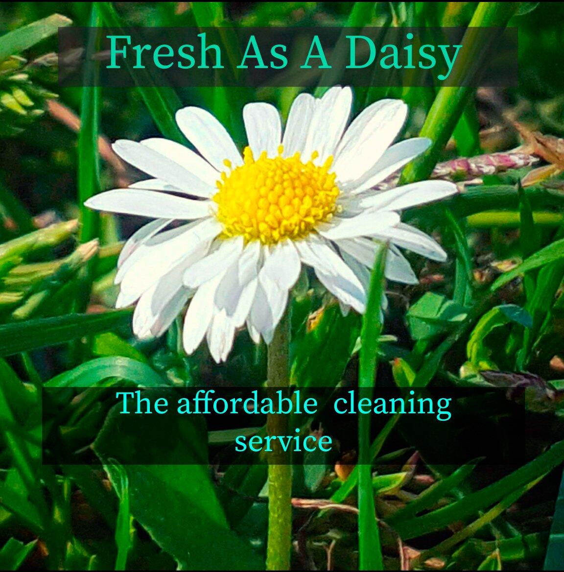 Fresh as a Daisy - Nextdoor