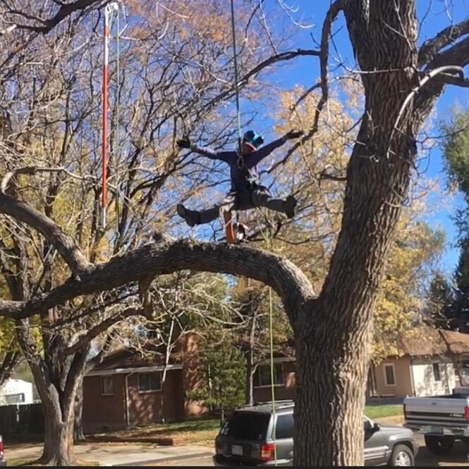 Blue Treeper Arbor Care - Nextdoor
