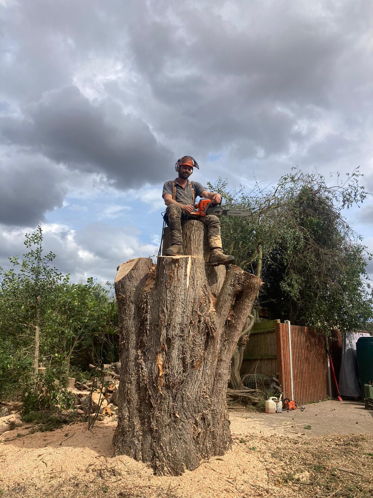 RH Tree Services - Nextdoor