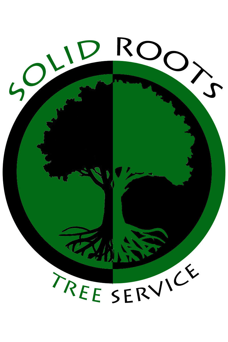 Solid Roots Tree Service - Wilmington, NC - Nextdoor