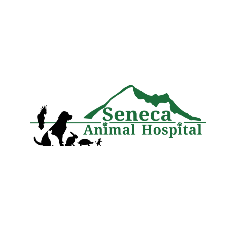 Seneca Animal Hospital - Seneca, SC - Nextdoor