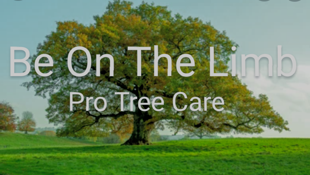 Be On The Limb Pro Tree Care - San Antonio, TX - Nextdoor
