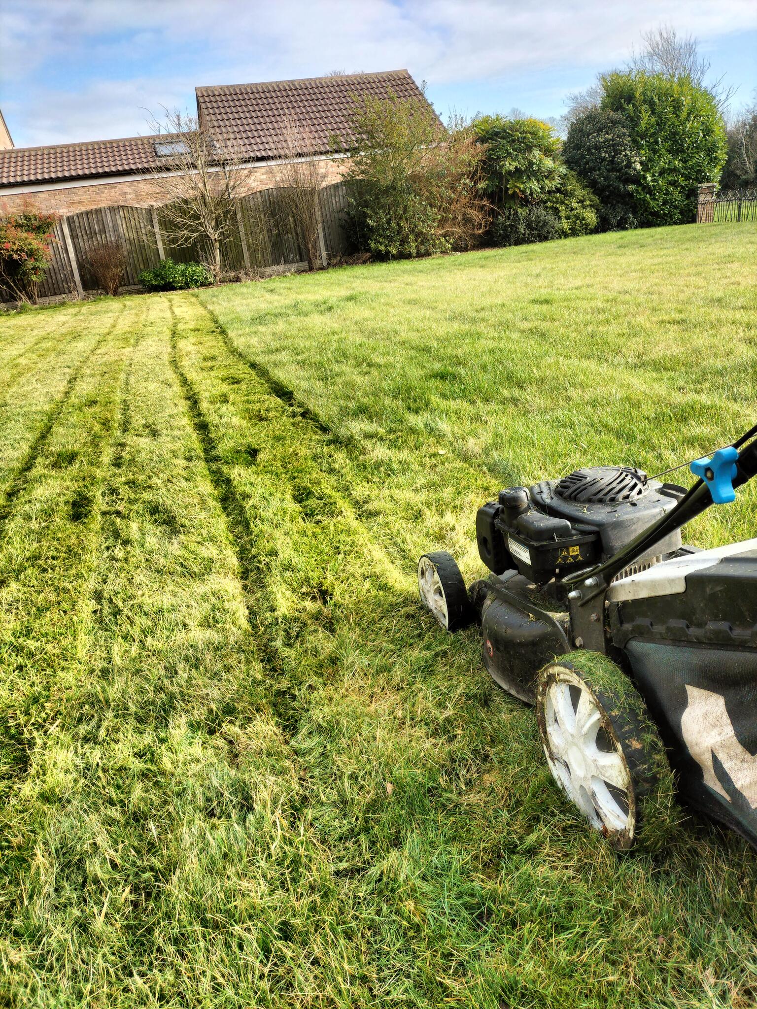 DJ gardening - Selby, GB-ENG - Nextdoor