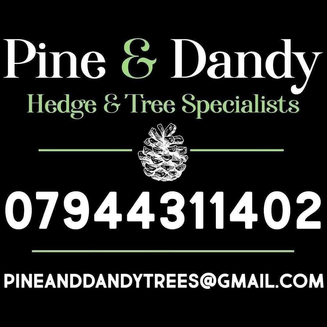 Pine & Dandy Tree Services - Nextdoor